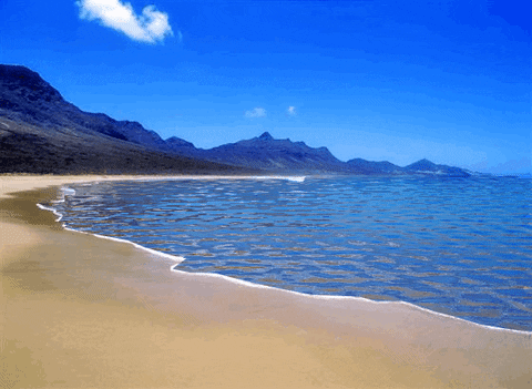 Mar GIF - Find & Share on GIPHY