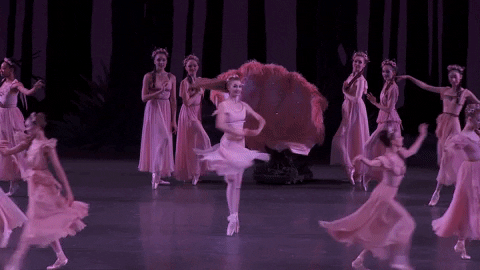 Dance Ballerina GIF by New York City Ballet - Find & Share on GIPHY