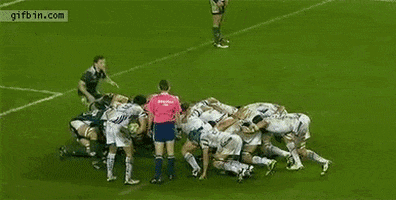 Rugby Scrum GIF - Find & Share on GIPHY