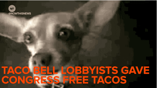 Chalupa GIFs - Get the best GIF on GIPHY