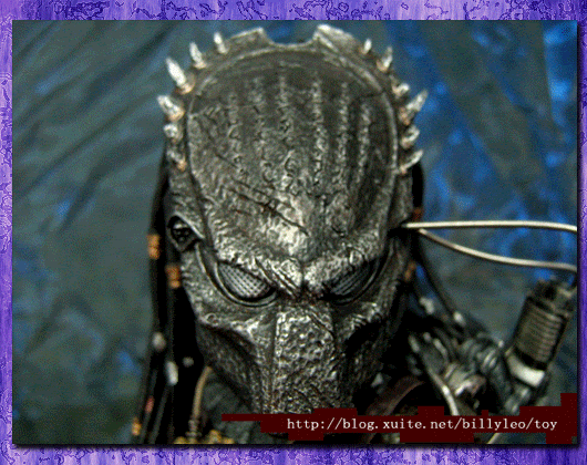 Predator GIF - Find & Share on GIPHY