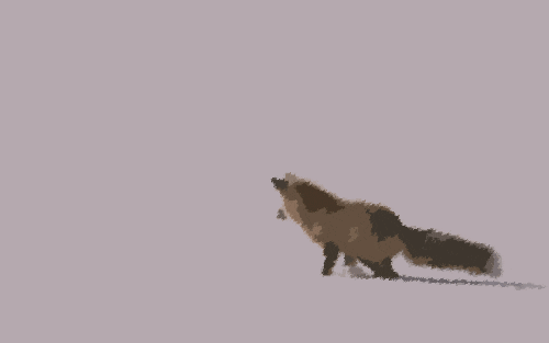Fox GIF - Find & Share on GIPHY