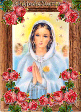 Maria GIF - Find & Share on GIPHY