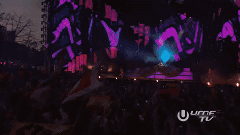 Music Festival Fire GIF by Tiësto - Find & Share on GIPHY