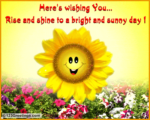 Sunny Morning Animated