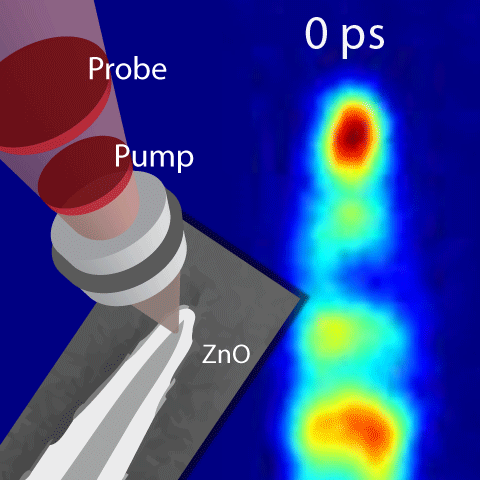 Microscopy GIF - Find & Share on GIPHY