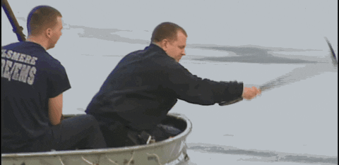 Rescue GIF - Find & Share on GIPHY