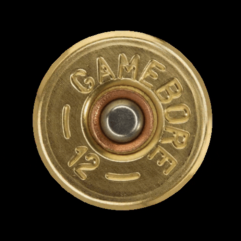 Shotgun Shooting GIF by gamebore - Find & Share on GIPHY