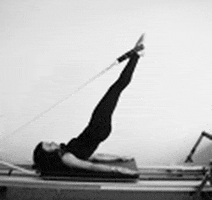 Training Pilates GIF - Find & Share on GIPHY