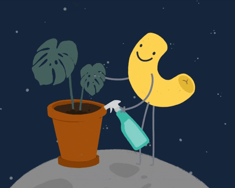 Space Grow GIF by Noodles Agency - Find & Share on GIPHY