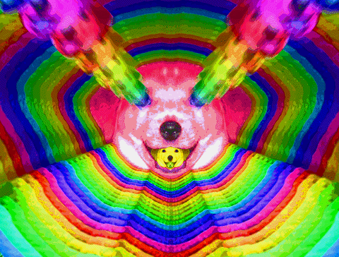 Acid GIF - Find & Share on GIPHY