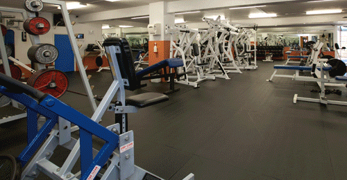 Physical Fitness Gifs