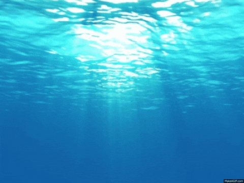 Underwater GIF - Find & Share on GIPHY