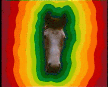 Random GIF - Find & Share on GIPHY