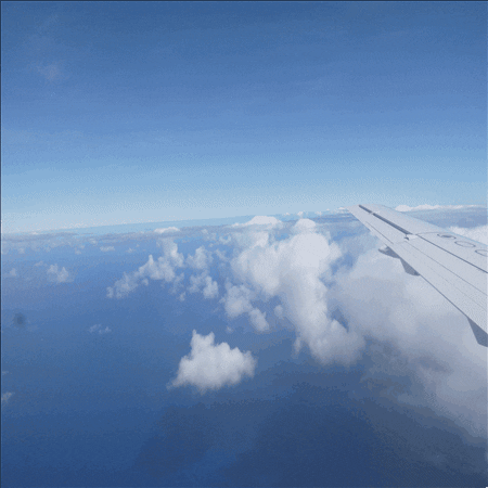 Flight GIF - Find & Share on GIPHY Flight GIF - Find & Share on GIPHY
