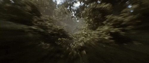 Pov GIF - Find & Share on GIPHY