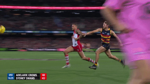 Afl GIF by Sydney Swans - Find & Share on GIPHY