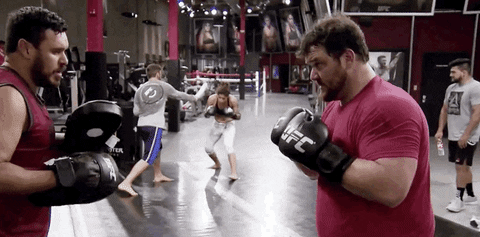 Ultimate Fighter Fighting GIF by UFC - Find & Share on GIPHY