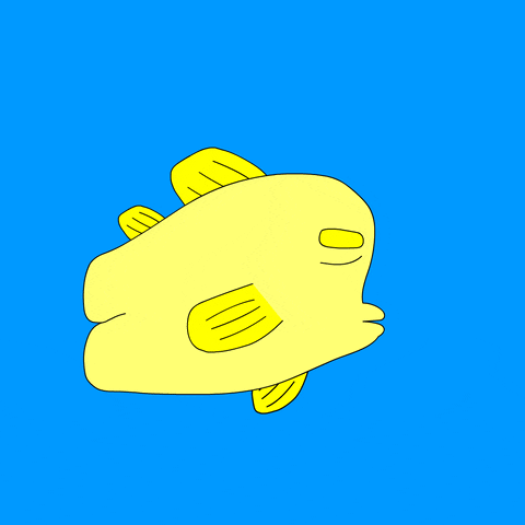 Animation Fish GIF by Ben - Find & Share on GIPHY