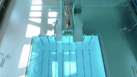 High Diving GIFs - Find & Share on GIPHY