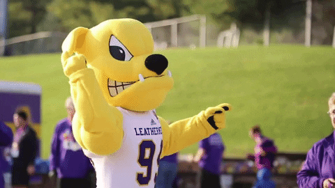 Football Success GIF by Western Illinois University - Find & Share on GIPHY