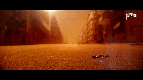 Heat Vfx GIF by Mikros Image - Find & Share on GIPHY