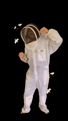 Honey Bees GIF by HuMandalas - Find & Share on GIPHY