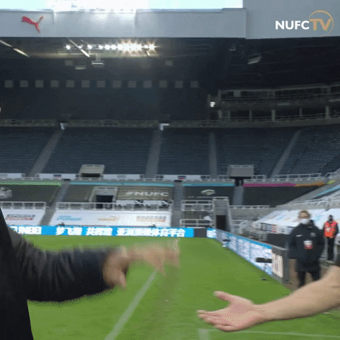 Newcastle United GIF by Newcastle United Football Club - Find & Share ...