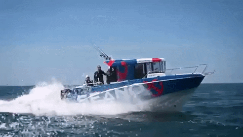 Boat Fishing GIF by Amiaud - Find & Share on GIPHY