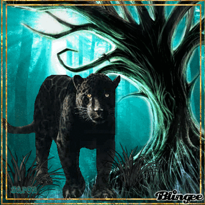 Black Panther GIF - Find & Share on GIPHY