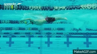 Swimming GIF - Find & Share on GIPHY