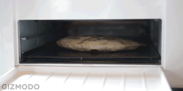 Anyone have a Rotimatic? Flat bread maker? | Food and Drink