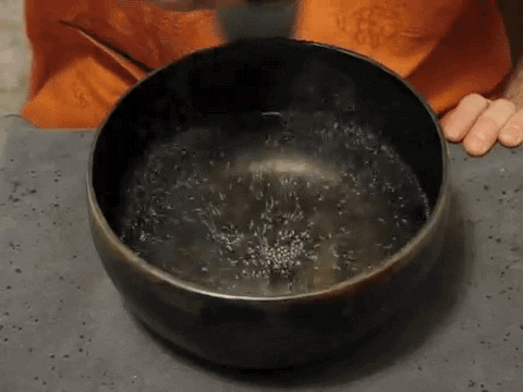Water Bowl GIF - Find & Share on GIPHY