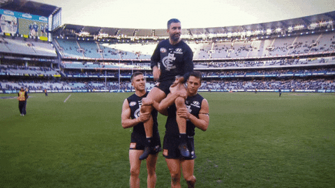 Carlton Fc Simpson GIF by Carlton Football Club - Find & Share on GIPHY