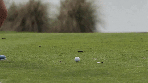 Golf Wave GIF by GreenWave - Find & Share on GIPHY