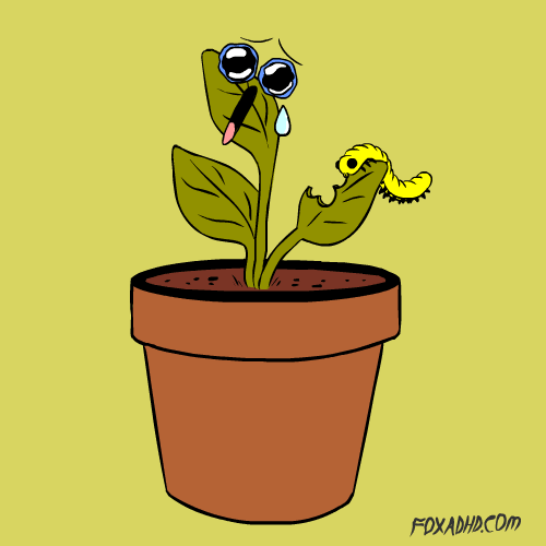 Catapillar GIFs - Find & Share on GIPHY