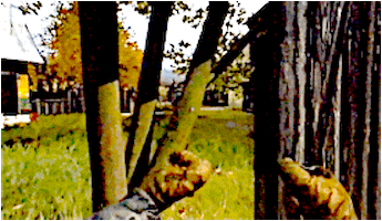 Walking Into Tree GIFs - Find & Share on GIPHY