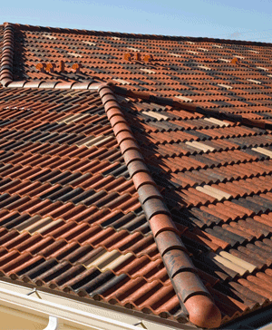 Roof GIF - Find & Share on GIPHY