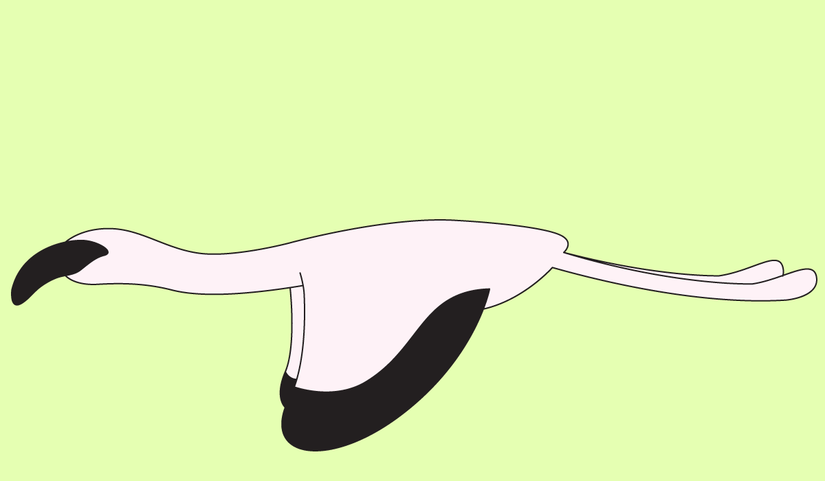 Flamingo GIF by Alexander Lansang - Find & Share on GIPHY