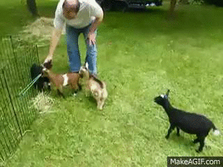 I want to live in heaven and be a good Christian, but the Satanic witch ...