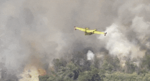 Water Fire GIF - Find & Share on GIPHY