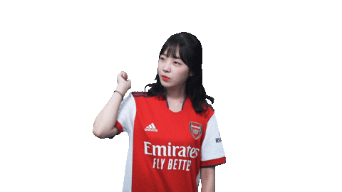 Arsenal Gunners Sticker by Shoot for Love for iOS & Android | GIPHY