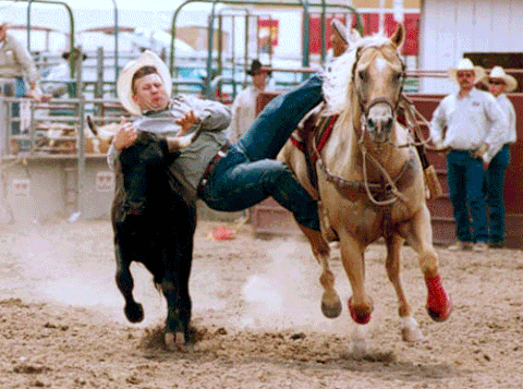 Rodeo GIF - Find & Share on GIPHY