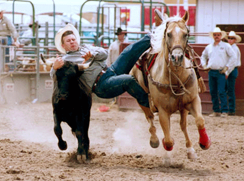 Rodeo GIF - Find & Share on GIPHY