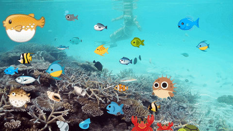 Marine Stewardship Council (MSC) GIF - Find & Share on GIPHY