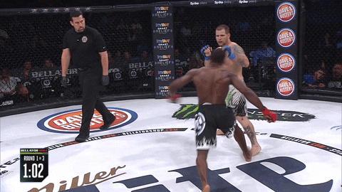 Knock Out Falling GIF by Bellator - Find & Share on GIPHY