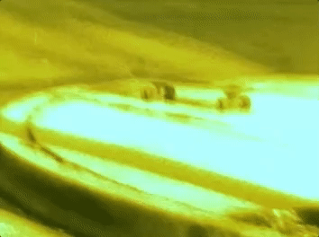 Last Ride In GIF by Green Day - Find & Share on GIPHY