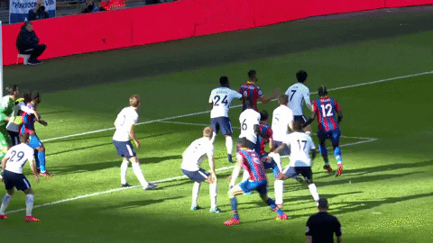 London Football GIF by Tottenham Hotspur - Find & Share on GIPHY