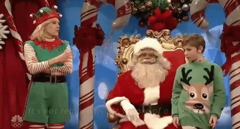 Kate Mckinnon Christmas GIF by Saturday Night Live - Find & Share on GIPHY