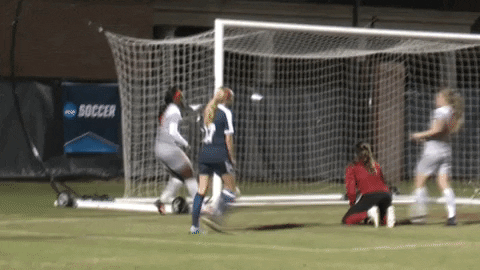 Lean GIF by Carson-Newman Athletics - Find & Share on GIPHY